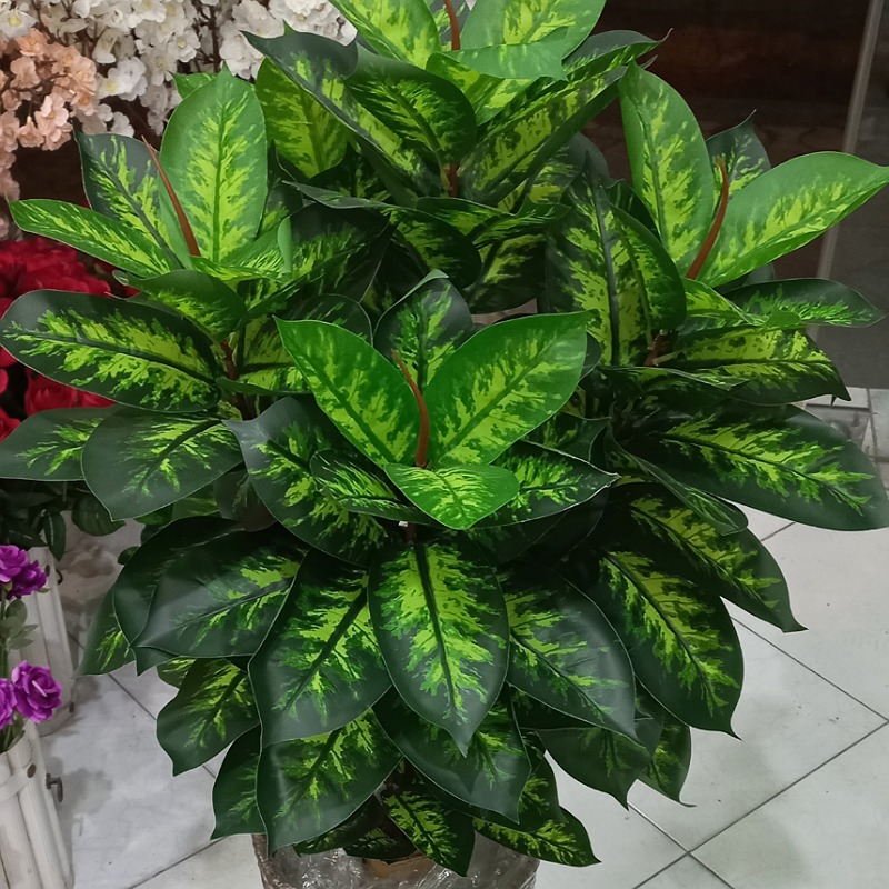 فروشگاه گلکده‌پالیز